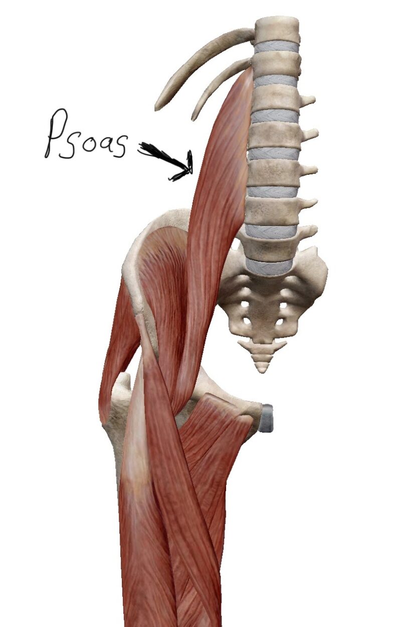 The Best Hip Flexor Routine | Coreroanoke.com