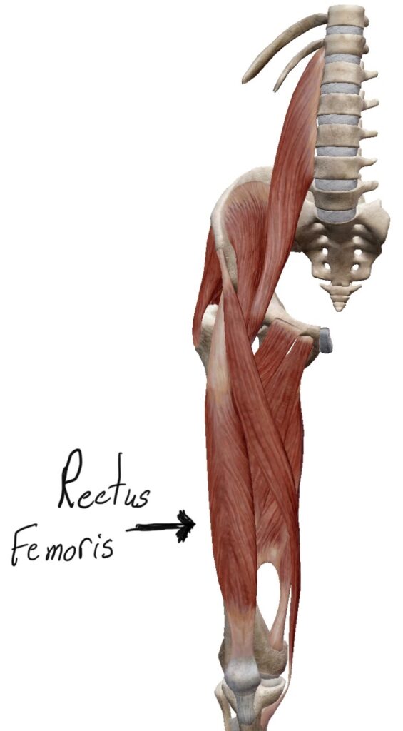 The Best Hip Flexor Routine | Coreroanoke.com